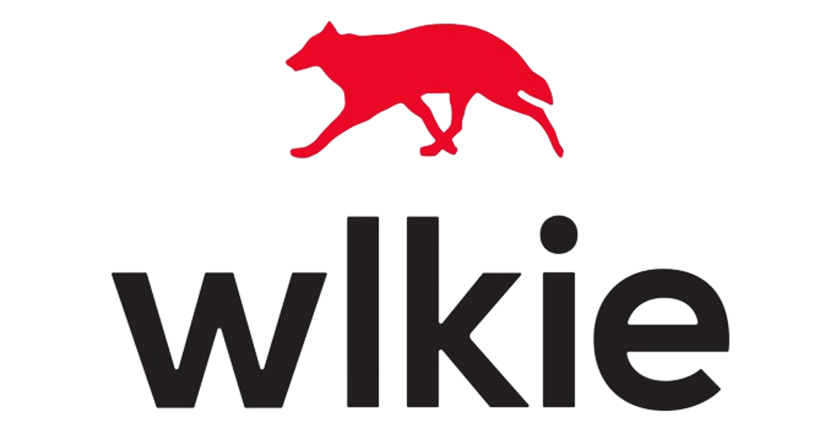 Wilkie Cycles: Top-Quality UK Designed Single-Speed Bicycles – wlkie